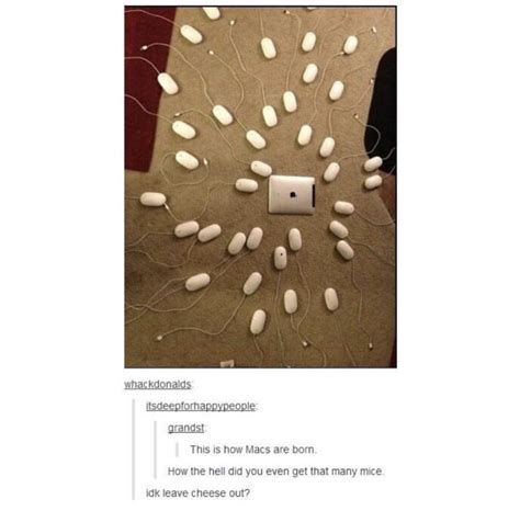 Sex Education R Tumblr