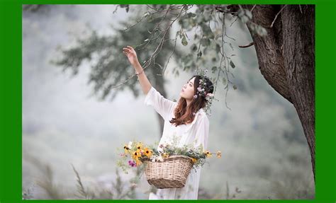 The History Of InterCode From Iconlab