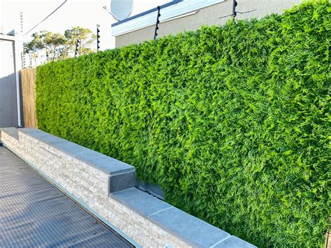 Authentic Grass Home Page