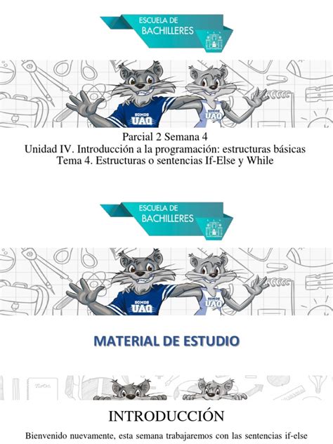 If Else While Pdf Programa De Computadora Programación