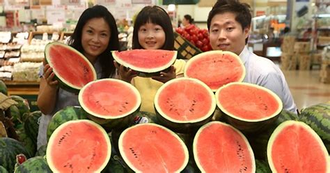 사진 롯데마트 반통수박 등장