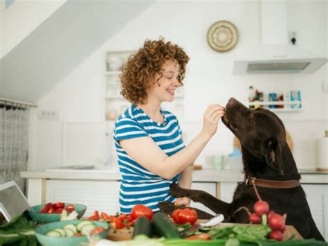 Papaline Su Psima Lako Probavljiva Hrana Vijest