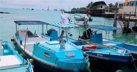 la reserva de galápagos en el foco de un polémico canje de deuda en