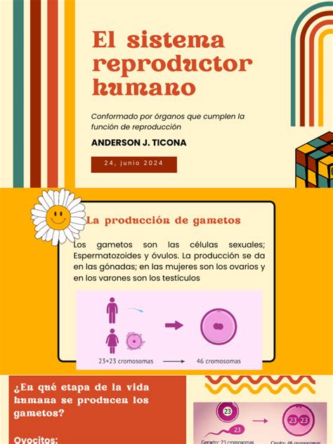 El Sistema Reproductor Humano Pdf