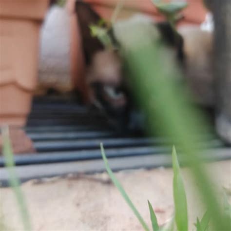 Holaa Xmarie Gg Threads Say More