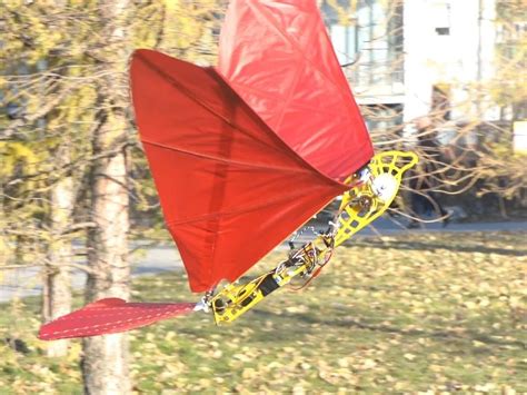 Arduino Powered Ornithopter Takes To The Skies Arduino Blog