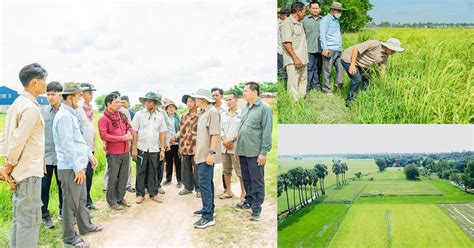 អាជ្ញាធរខេត្តព្រៃវែង បន្តចុះពិនិត្យ សត្វល្អិត រុយ ស