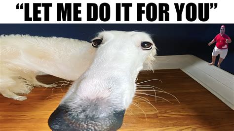 Let Me Do It For You Youtube