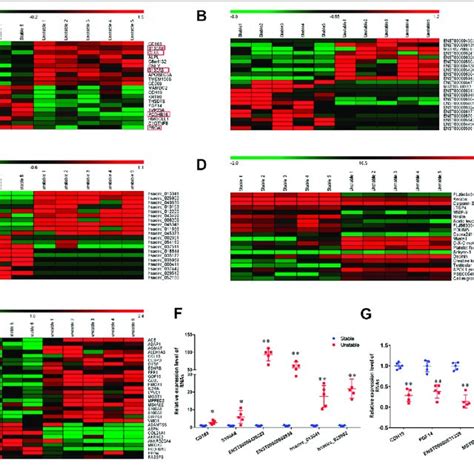 the hierarchical clustering heatmap of 20 de mrnas lncrnas