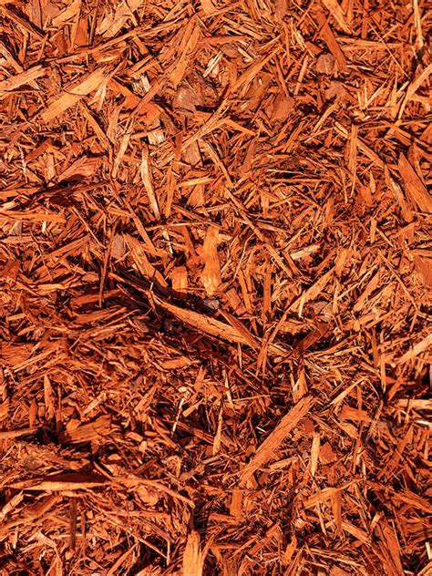 Premium Red Mulch Benefits How To Use And How Much To Use