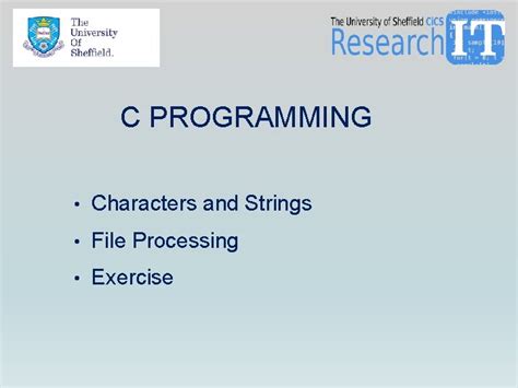 c programming characters and strings file processing exercise