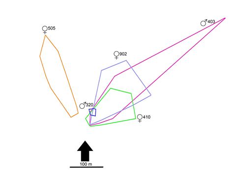 Range Areas 95 Minimum Convex Polygons Of ï¿¿ve Porters Rock Rats