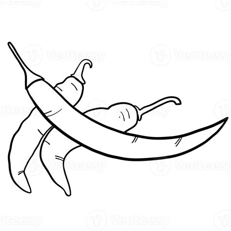 Fresh Chili Drawing Line 28269728 Png