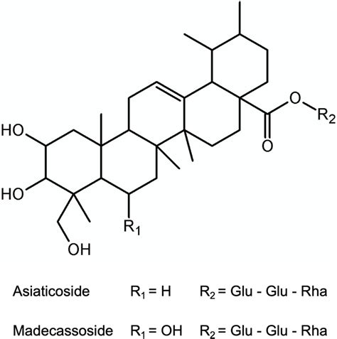 Chemical Structure Of Triterpenes From Centella Asiatica Glu Glucose
