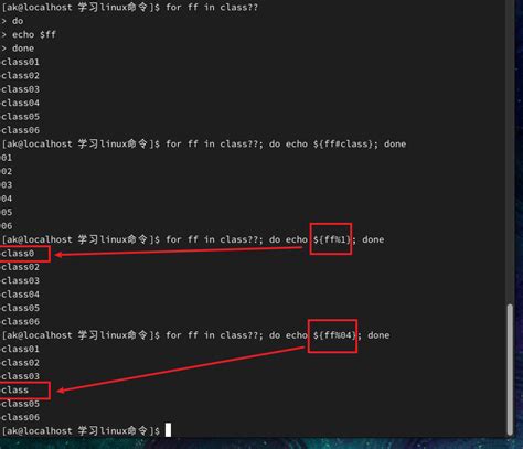 较常用的linux命令 Csdn博客