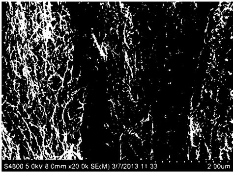 High Dielectric Elastomer Composite Material With Low Content Of Carbon Nanometer Tubes And