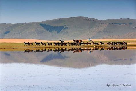 Zavkhan Travel Хунт нуур Завхан аймгийн Түдэвтэй сум