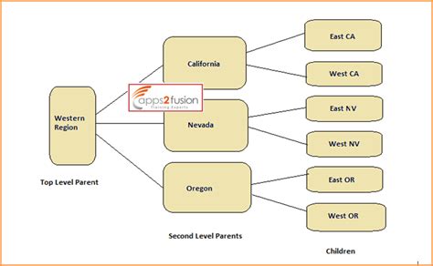 designing account hierarchies in oracle fusion application part 1