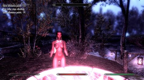 Help Collision Between Sd And DD Or Anything Else Skyrim Technical Support LoversLab