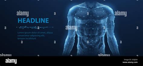 Human Body Abstract Vector Human Anatomy Digital Technology Medical