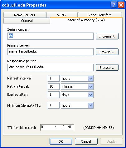 IT SA Services Documentation Example DNS Zone Configuration
