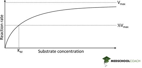 Mixed Inhibition Michaelis Menten
