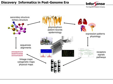 Ppt Bioinformatics Workflow Integration Powerpoint Presentation Free Download Id4718935