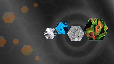 Microscopy And Imaging Core