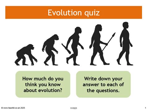 Evolution Quiz Ks3 Science Genetics And Evolution Teachit