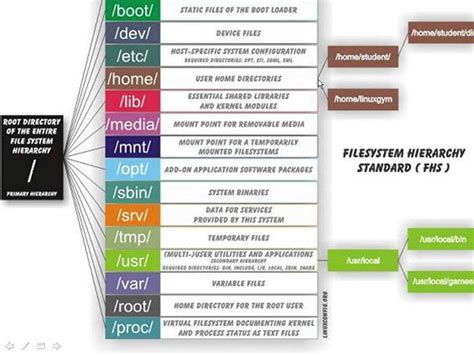 Understanding The Linux Directory Structure A Detailed Diagram