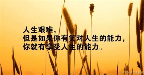 2024年chatgpt 及类似的人工智能技术带来的影响与改变 怎样利用 Chatgpt 提高学习效率chatgpt辅助信息检索的影响