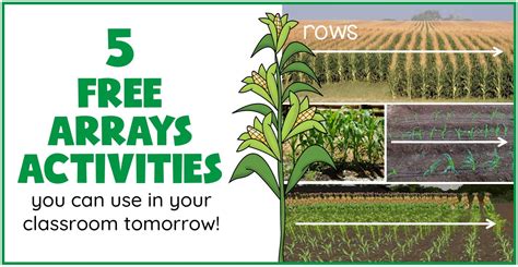 5 Free Arrays Activities You Can Use Tomorrow Around The Kampfire