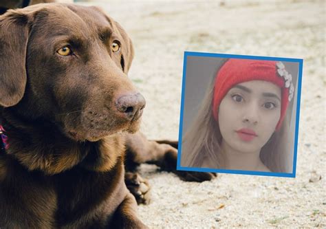 Caso Abbas Ritrovato Il Corpo Di Saman Unità Cinofile In Azione