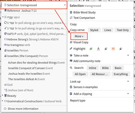 Bug Disappearing More Button In Context Menu Logos Community