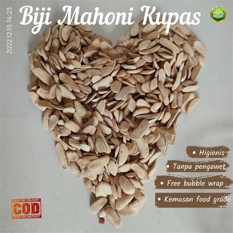 Jual Biji Mahoni Kering Grade A Shopee Indonesia