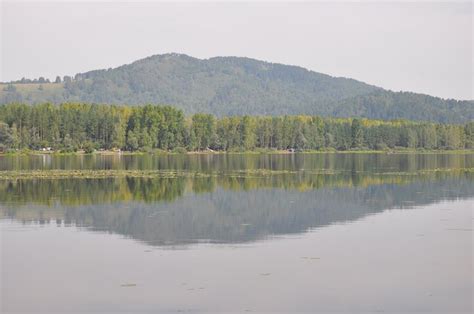 Чудесное озеро у подножия горы по берегам сосны дубы яблони Здесь живут птицы и растут