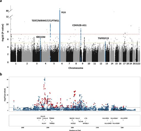 Manhattan Plots Showing Log10 P Values For Meta Analysis Of Npc Risk Download Scientific