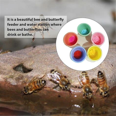 Bee Cups Bee Insect Drinking Cup Bee Cups For Garden Bee Drinking Cups For Garden Colorful