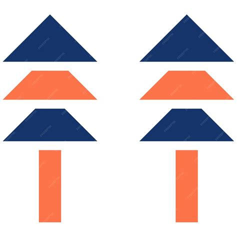 Premium Vector Evergreen Tree Vector Illustration