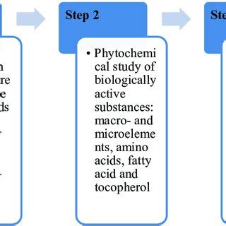 Planning Of The Research Download Scientific Diagram