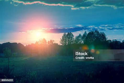 석양에 파란 흐린 하늘 필드입니다 아름 다운 자연 전원 풍경 봄 날 저녁 0명에 대한 스톡 사진 및 기타 이미지 0명 가을 고요한 장면 Istock