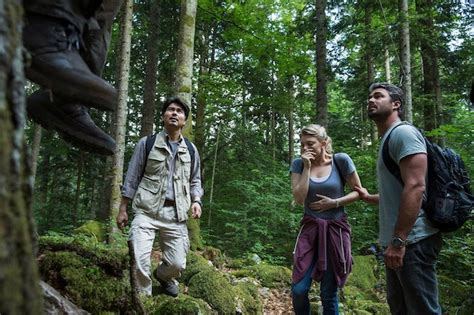 Is The Suicide Forest In Japan Real The Inspiration For The Forest
