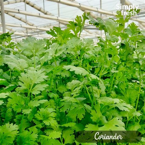 Bapi Roy On Linkedin Premium Quality Products