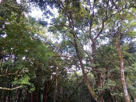 Kenya Says On Track To Combat Desertification Cgtn Africa