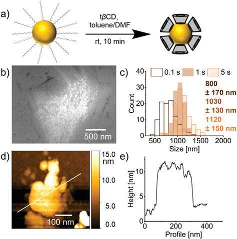 Patterning Of Hydrophilic And Hydrophobic Gold And Magnetite