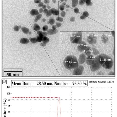 Average Particle Size Distribution And Shape Of Ag Nps Synthesized By