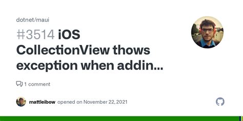 Ios Collectionview Thows Exception When Adding Items To An