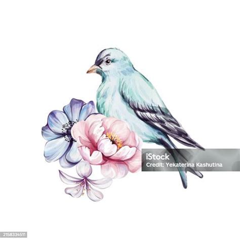 수채화 봄 구성 블루 빅토리아 수염과 핑크 장미 꽃과 식물 클립 아트 로맨틱한 아네모네와 모란 격리 인사말 카드 결혼식 직물 인쇄를 위해 결혼식에 대한 스톡 벡터 아트 및