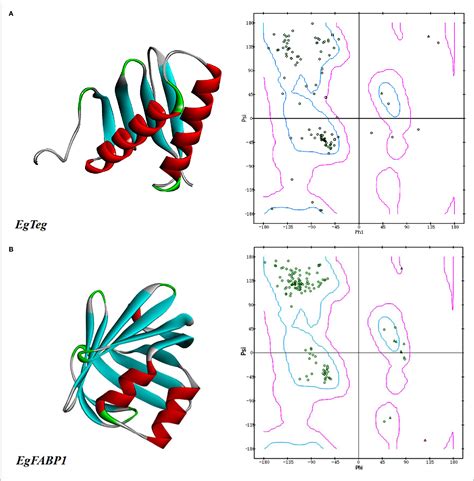 Figure 1 From Design Of A Novel Multi Epitope Vaccine Against