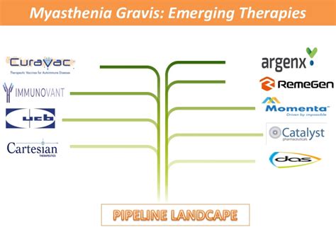 Rozanolixizumab Archives Cmaxinsight